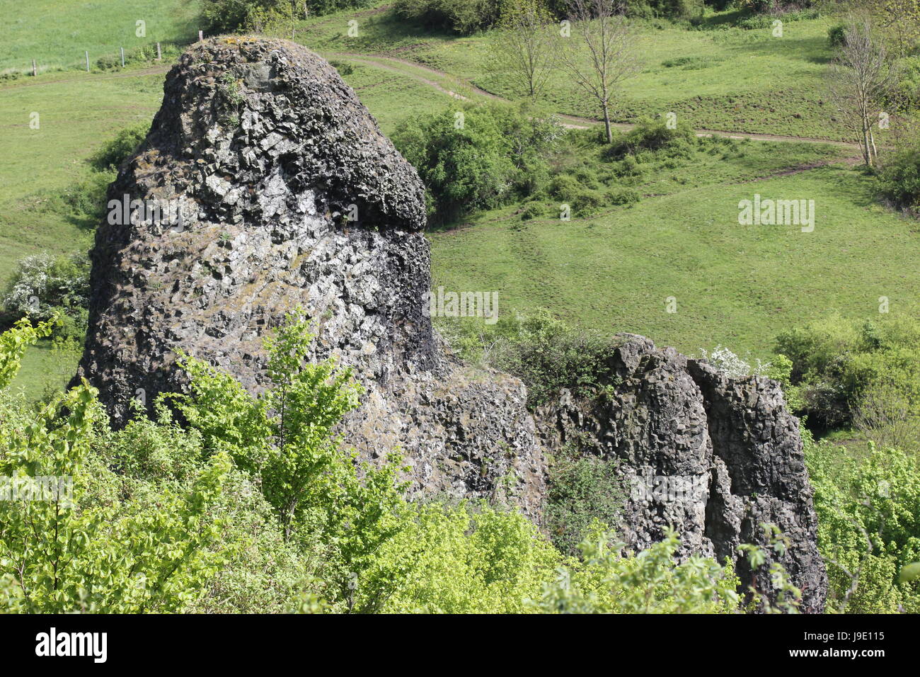 tree, trees, rock, nature-sanctuary, spring, fairy tale, execrated ...