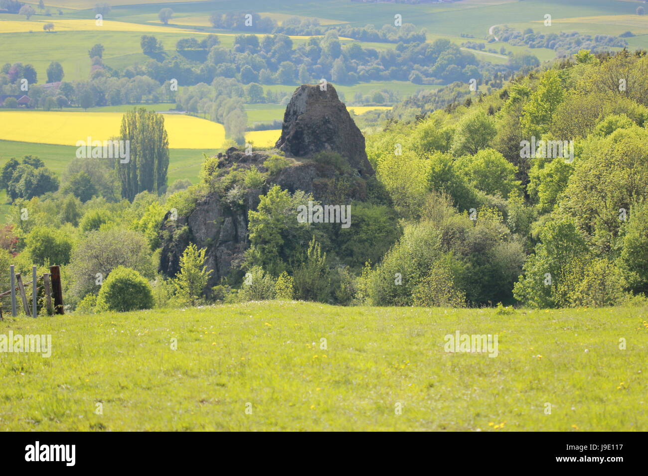 tree, trees, coleseed, rock, nature-sanctuary, spring, fields, fairy ...
