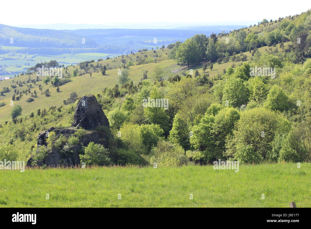 tree, trees, rock, nature-sanctuary, spring, fairy tale, execrated ...