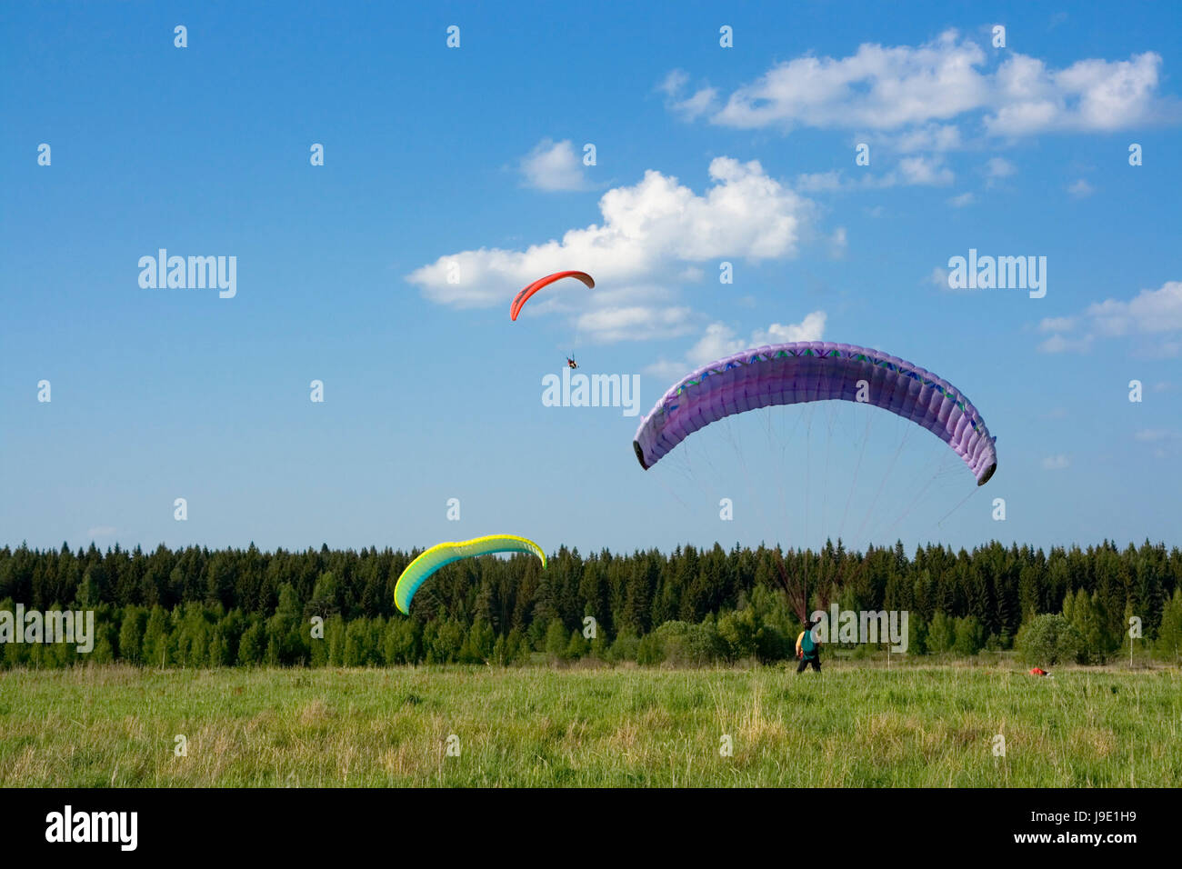 parachute, glider, gliding, fly, flies, flys, flying, paraglider ...