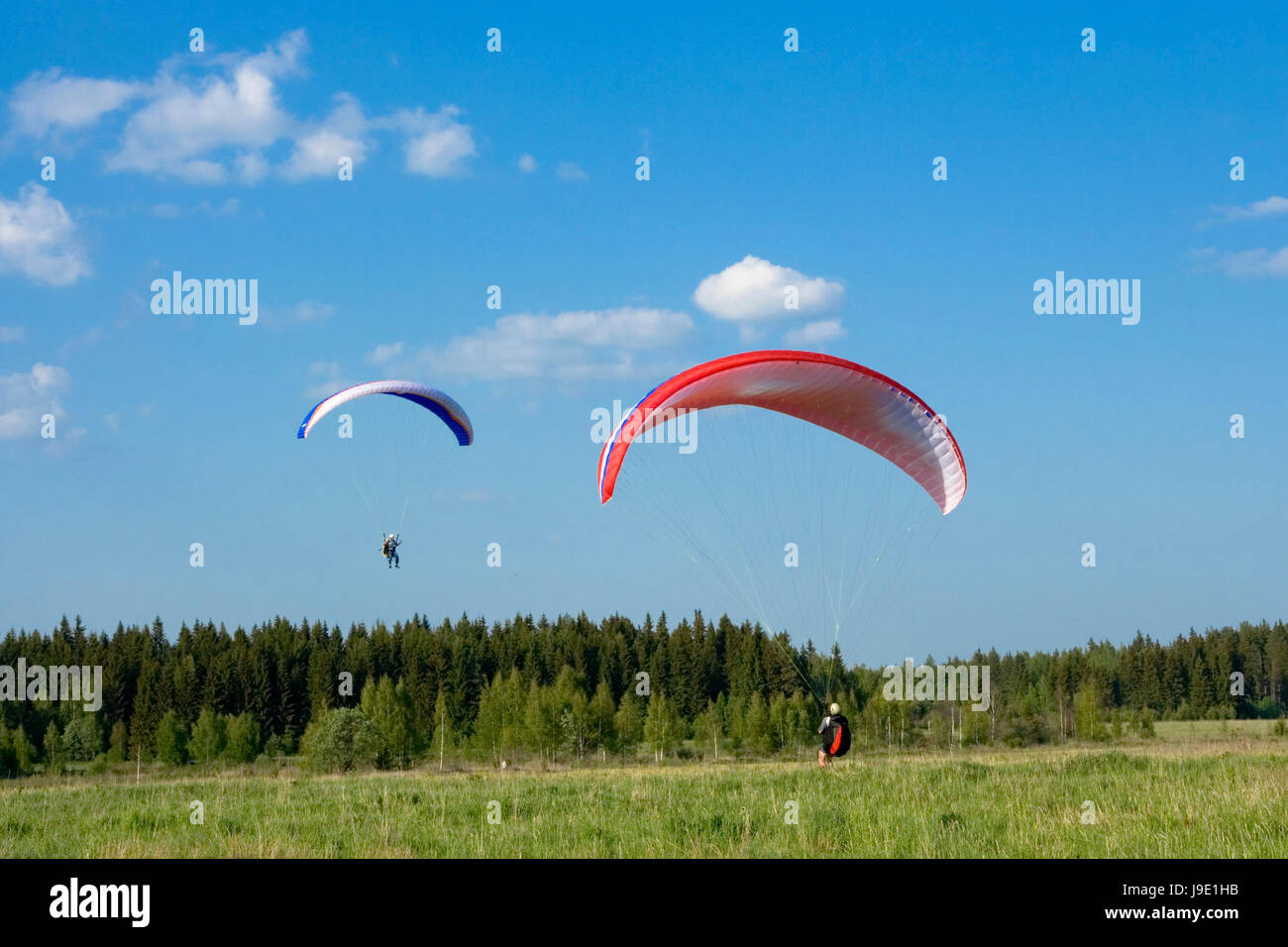parachute, glider, gliding, fly, flies, flys, flying, paraglider ...