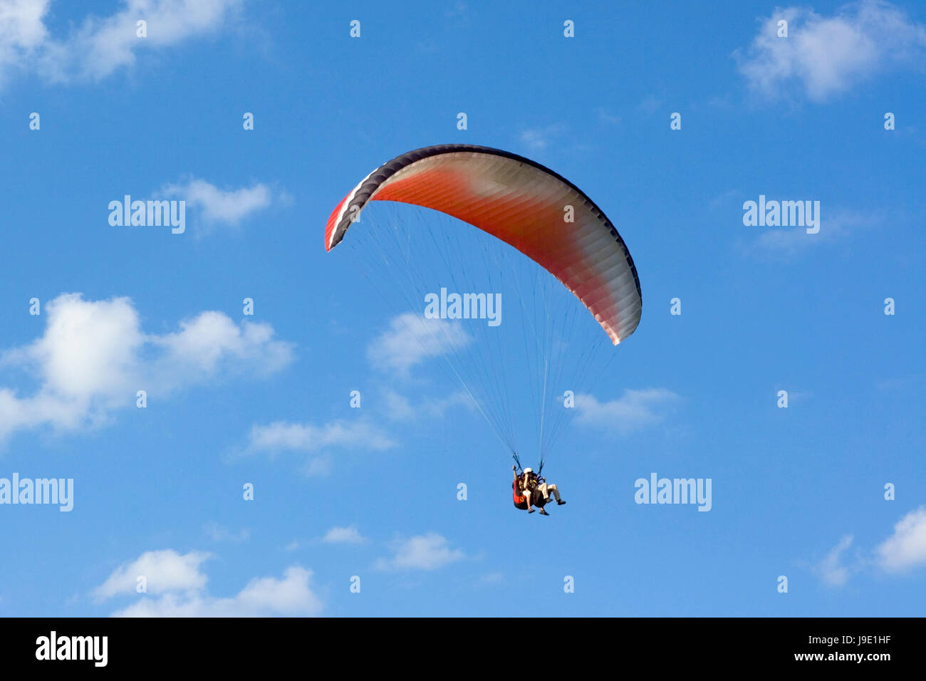 parachute, glider, gliding, fly, flies, flys, flying, paraglider ...