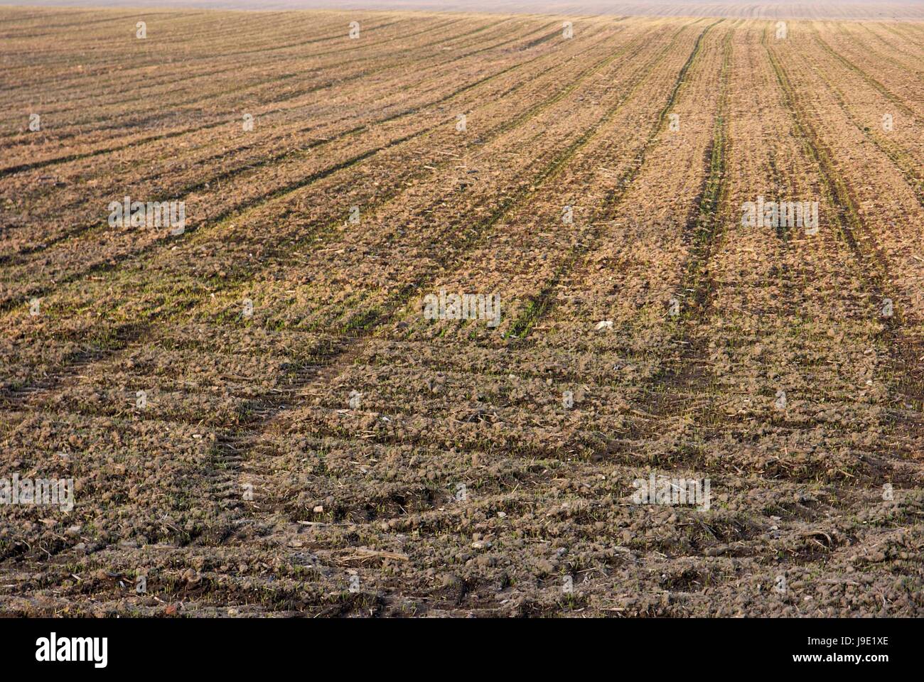 agricultural, ground, soil, earth, humus, agriculture, farming, field ...