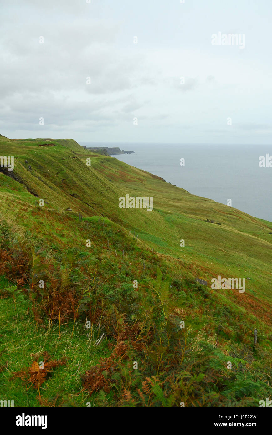 waters, rock, atlantic ocean, salt water, sea, ocean, water, coast ...