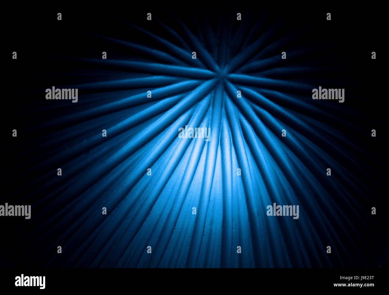 illustration, decor, decoration, abstract, decorate, backdrop ...