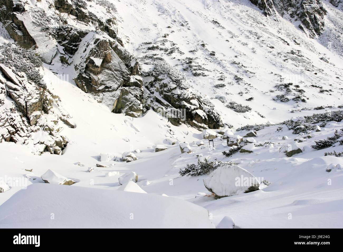 winter, snow, coke, cocaine, material, drug, anaesthetic, addictive ...