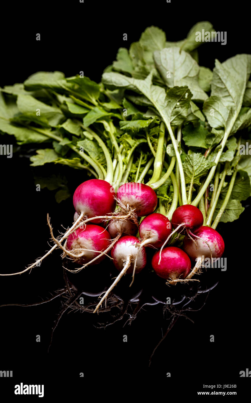 Fresh small red radishes on black background, clipping pathe Stock ...
