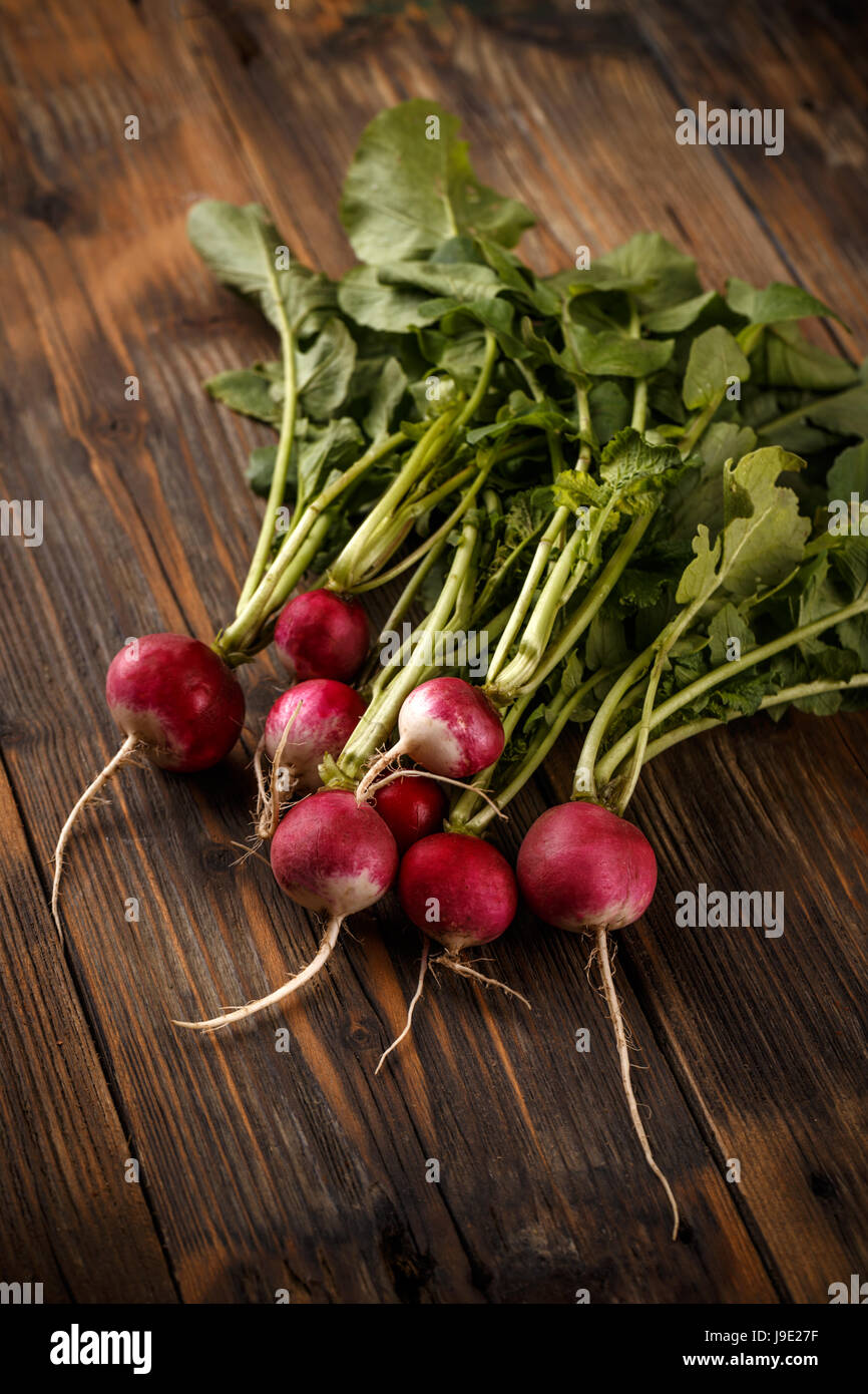 Bunch of radishes with leaves hi-res stock photography and images - Alamy