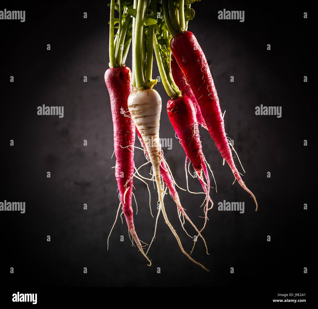 Long radishes hi-res stock photography and images - Alamy