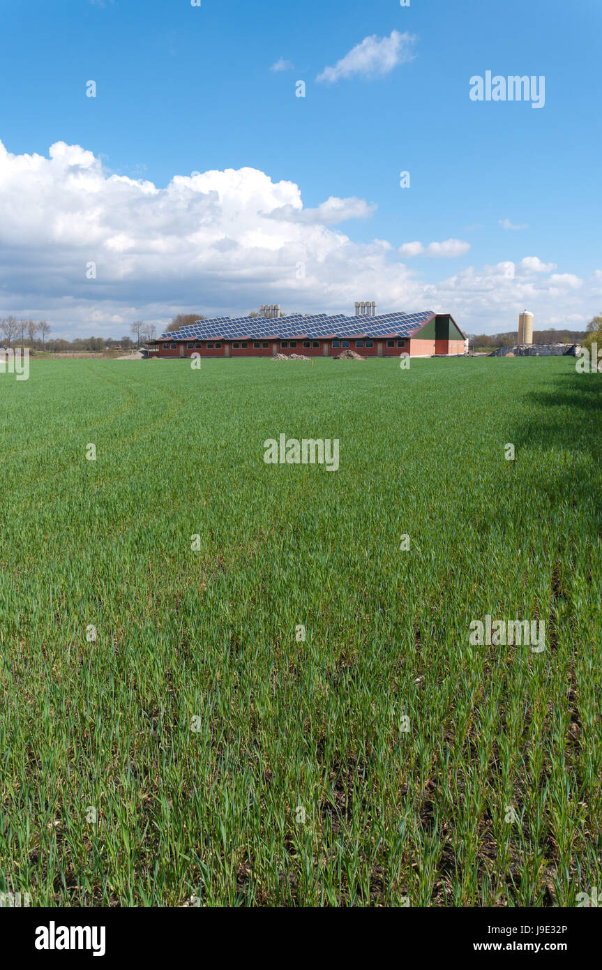 agriculture, farming, energy, power, electricity, electric power, barn ...