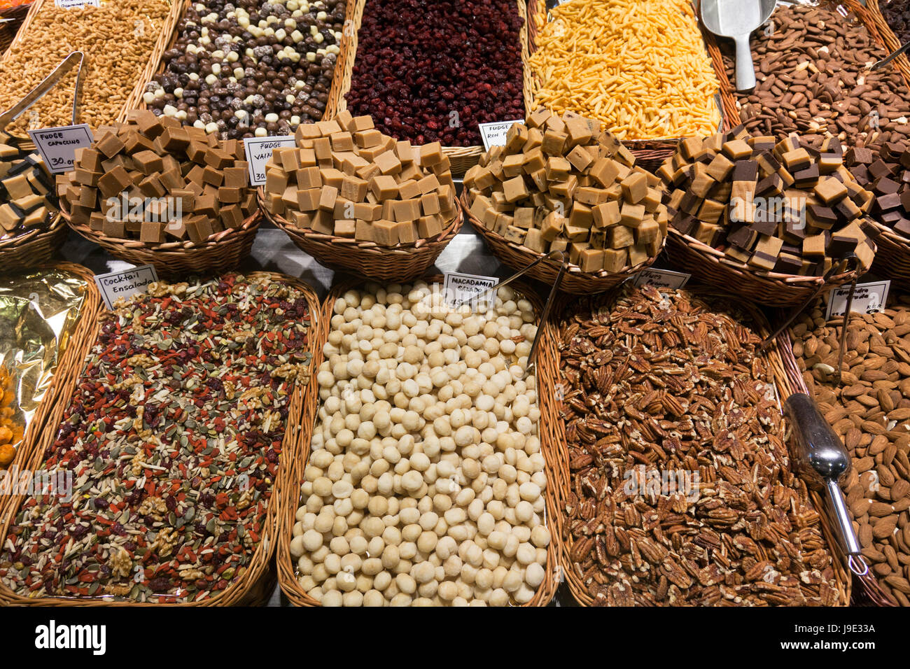 colour, attraction, color, colorful, choice, barcelona, humans, human ...