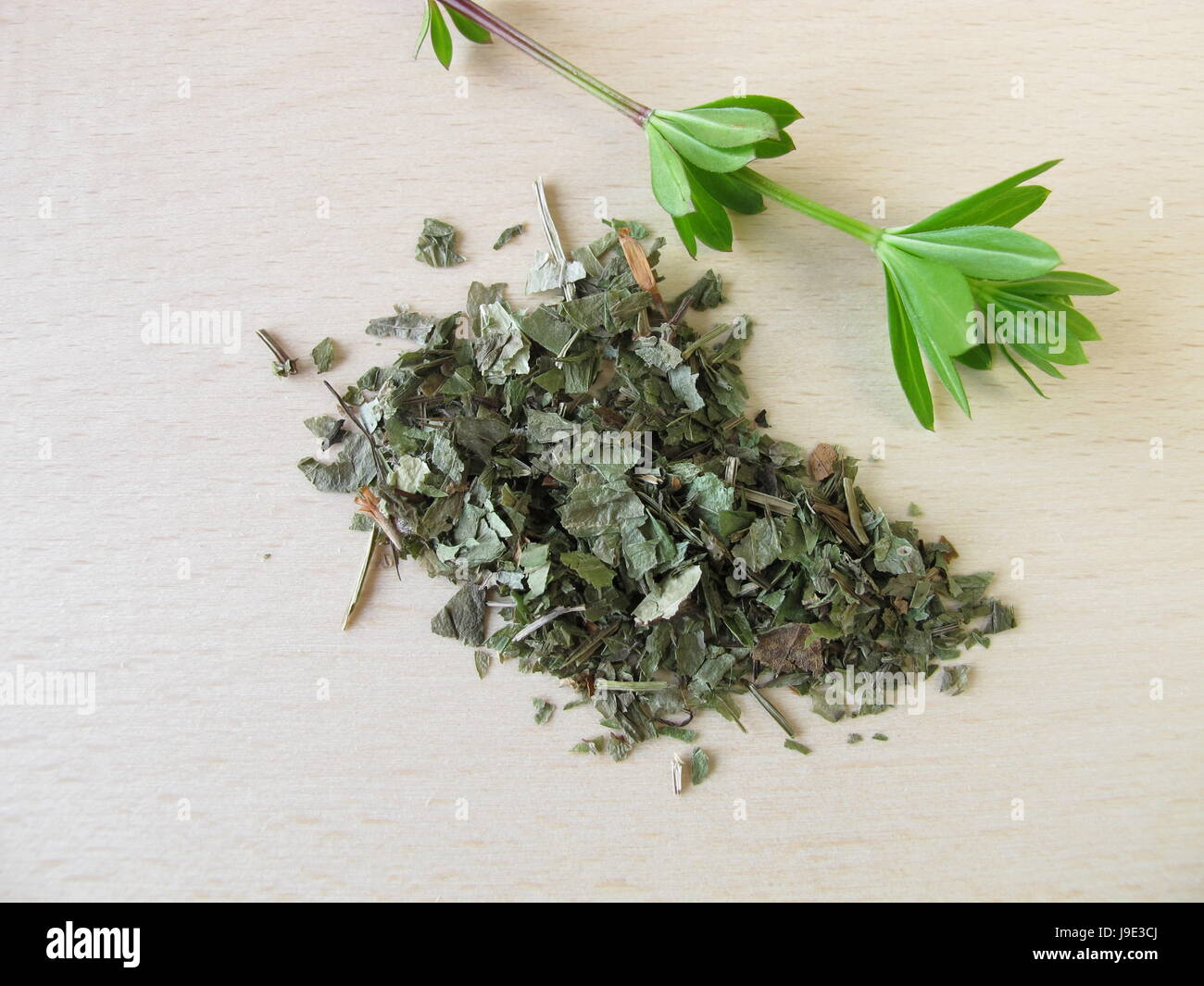 medicinal plant, woodruff, herbs, leaves, flavour, material, drug ...