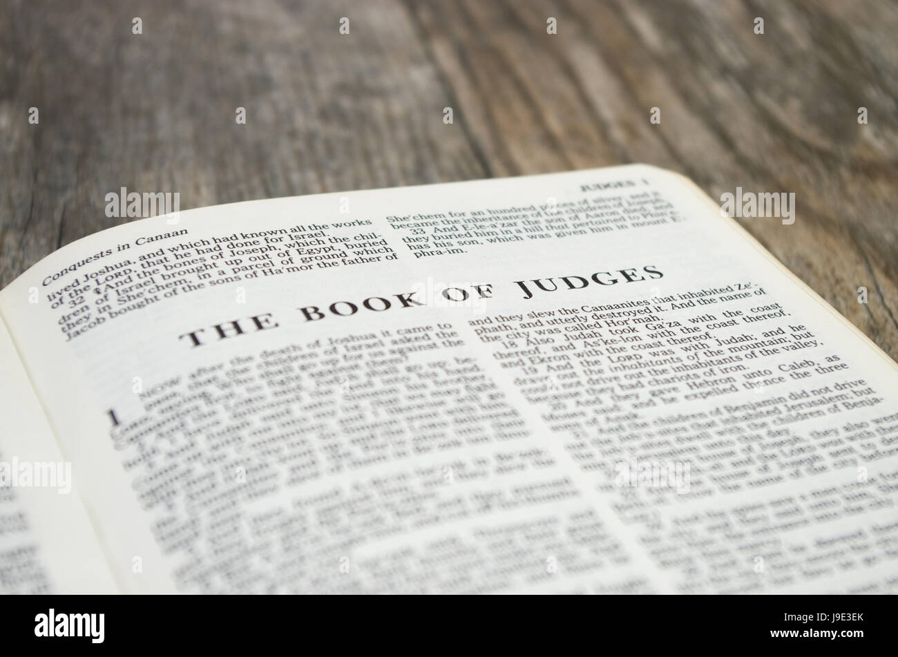 Book Of Judges Bible