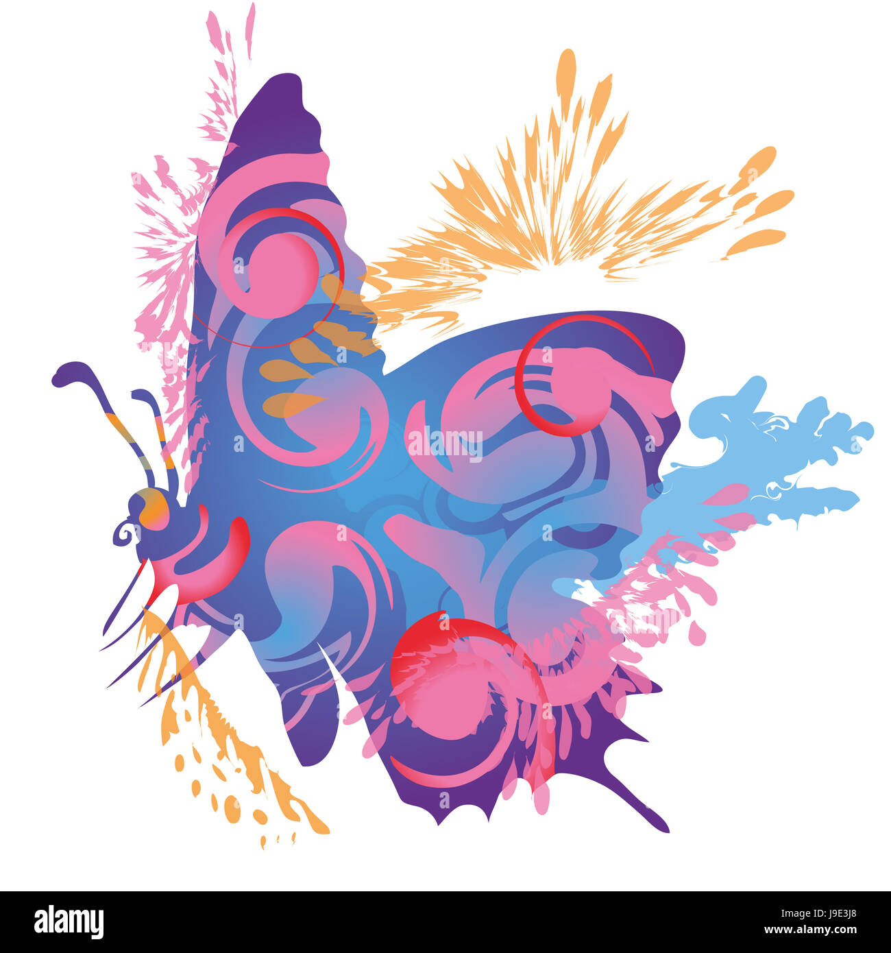 animal, insect, bloom, blossom, flourish, flourishing, butterfly, fly ...