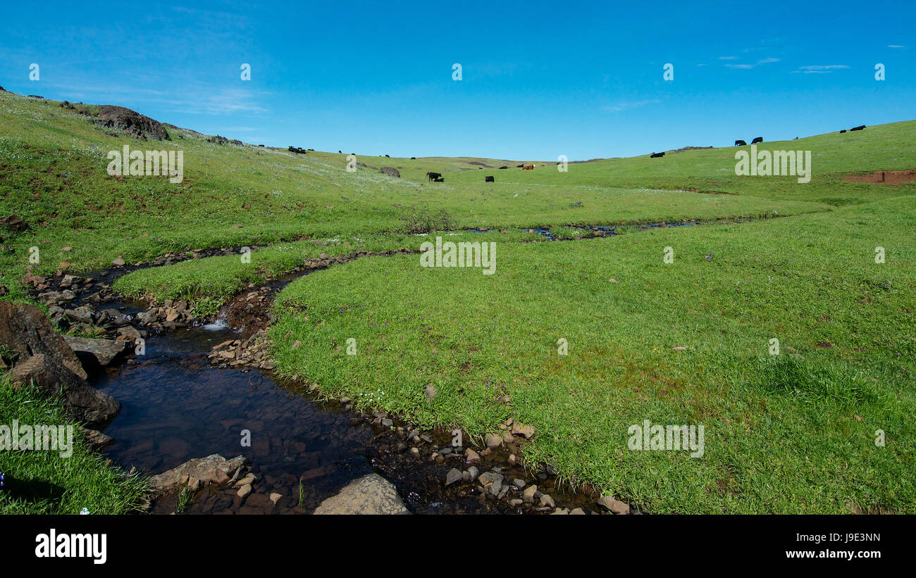 Creek at North Table Mountain Ecological Preserve, Oroville, California ...