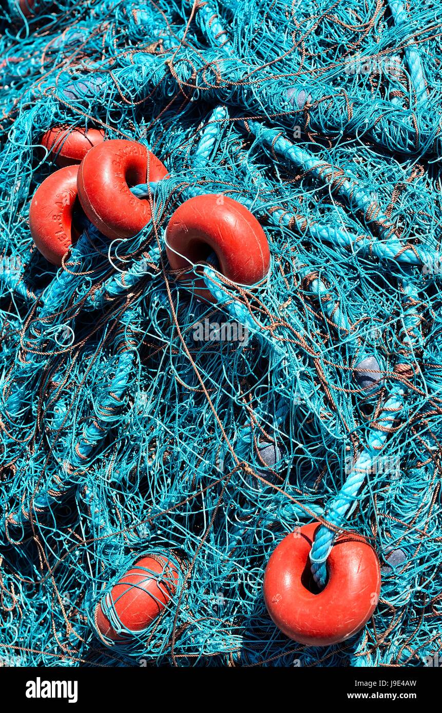 fish, beach, seaside, the beach, seashore, fishing, material, drug ...