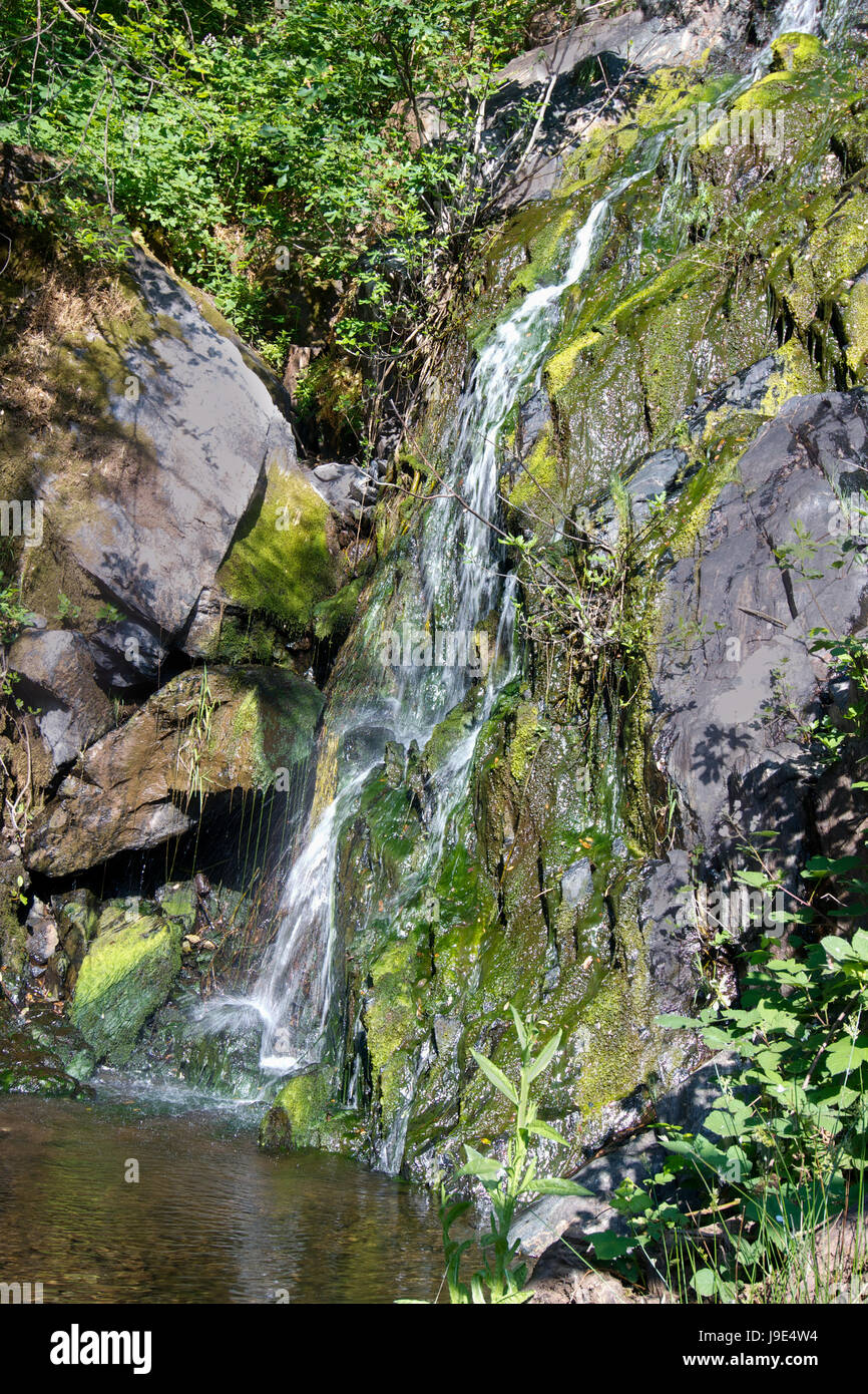 Waterfall Into Black Hole
