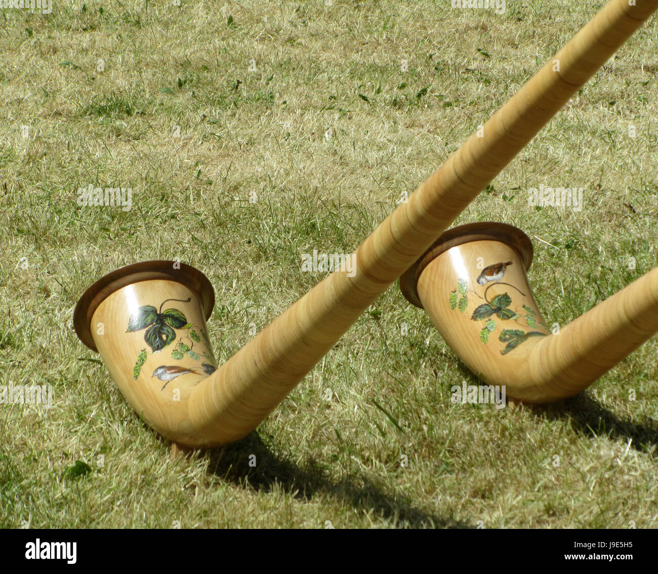 music, horn, wind instrument, alphorn, alpine horn, measure, instrument ...