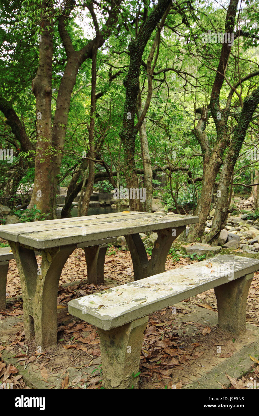 tree, seat, bench, lawn, green, chair, forest, break, rest, pause ...
