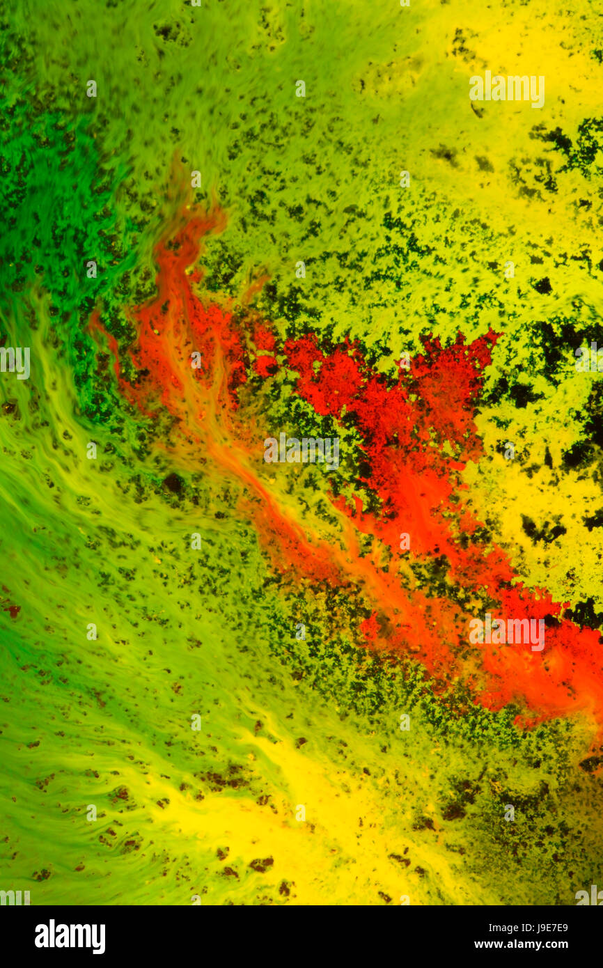 coloured, colourful, gorgeous, multifarious, richly coloured ...