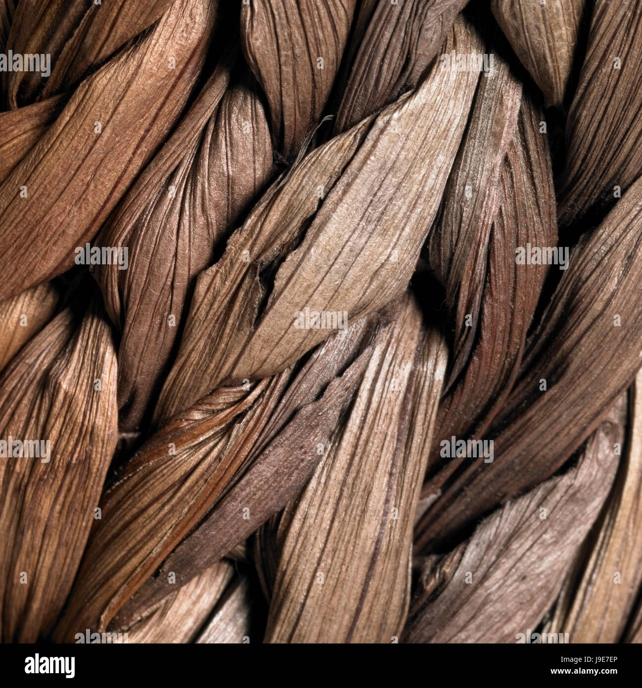 Plaited area hi-res stock photography and images - Alamy