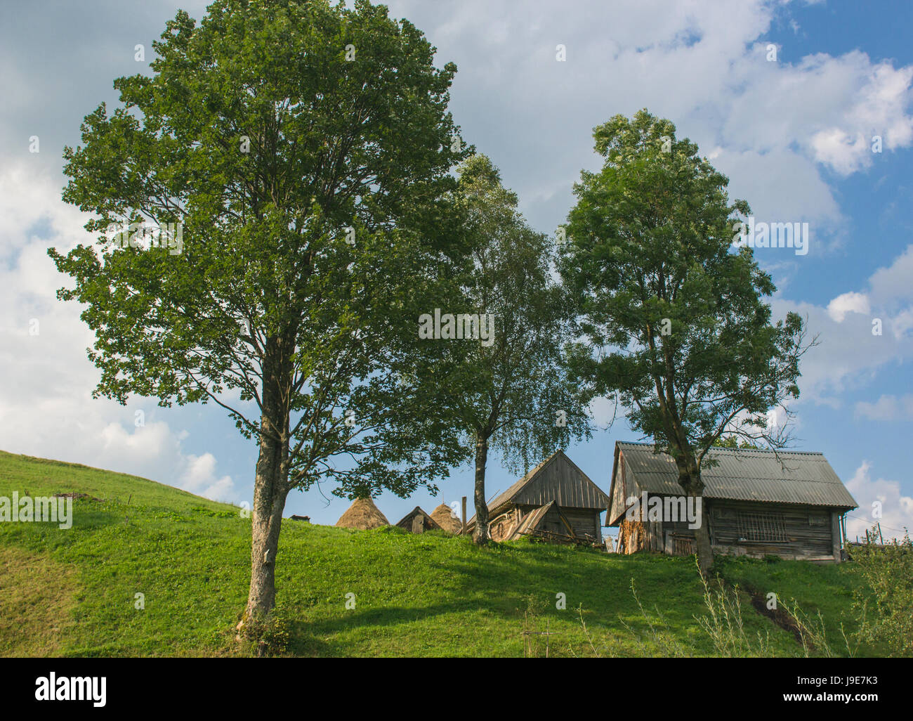 few wooden houses on mountain hills with haystack and trees. beautiful ...