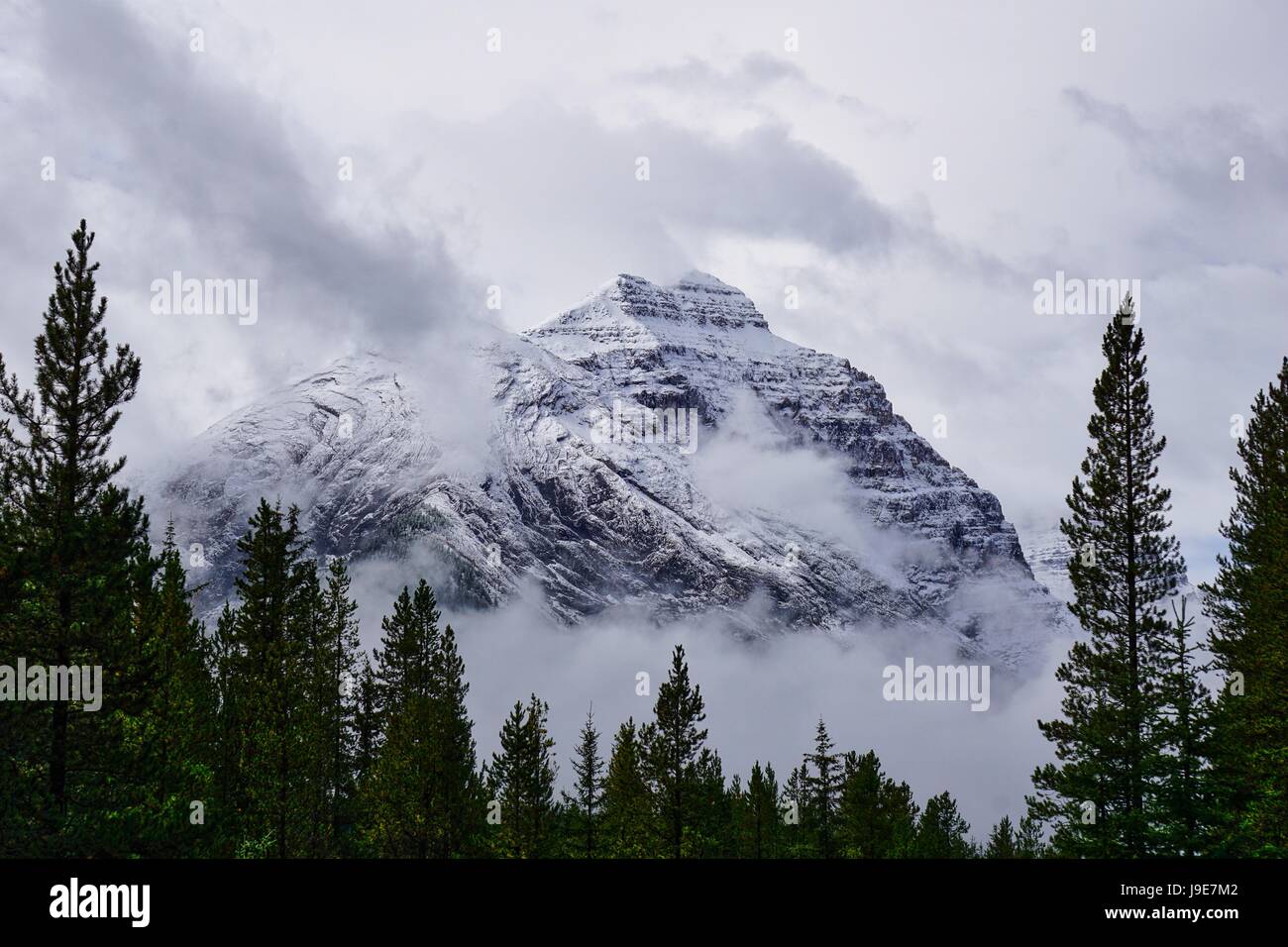 Low lying clouds in the mountains Stock Photo - Alamy