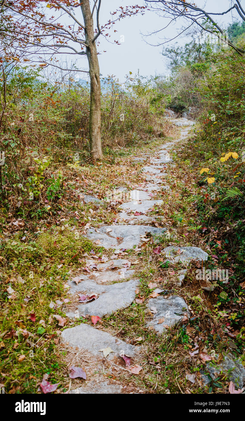 The ancient stone path in the mountain Stock Photo - Alamy