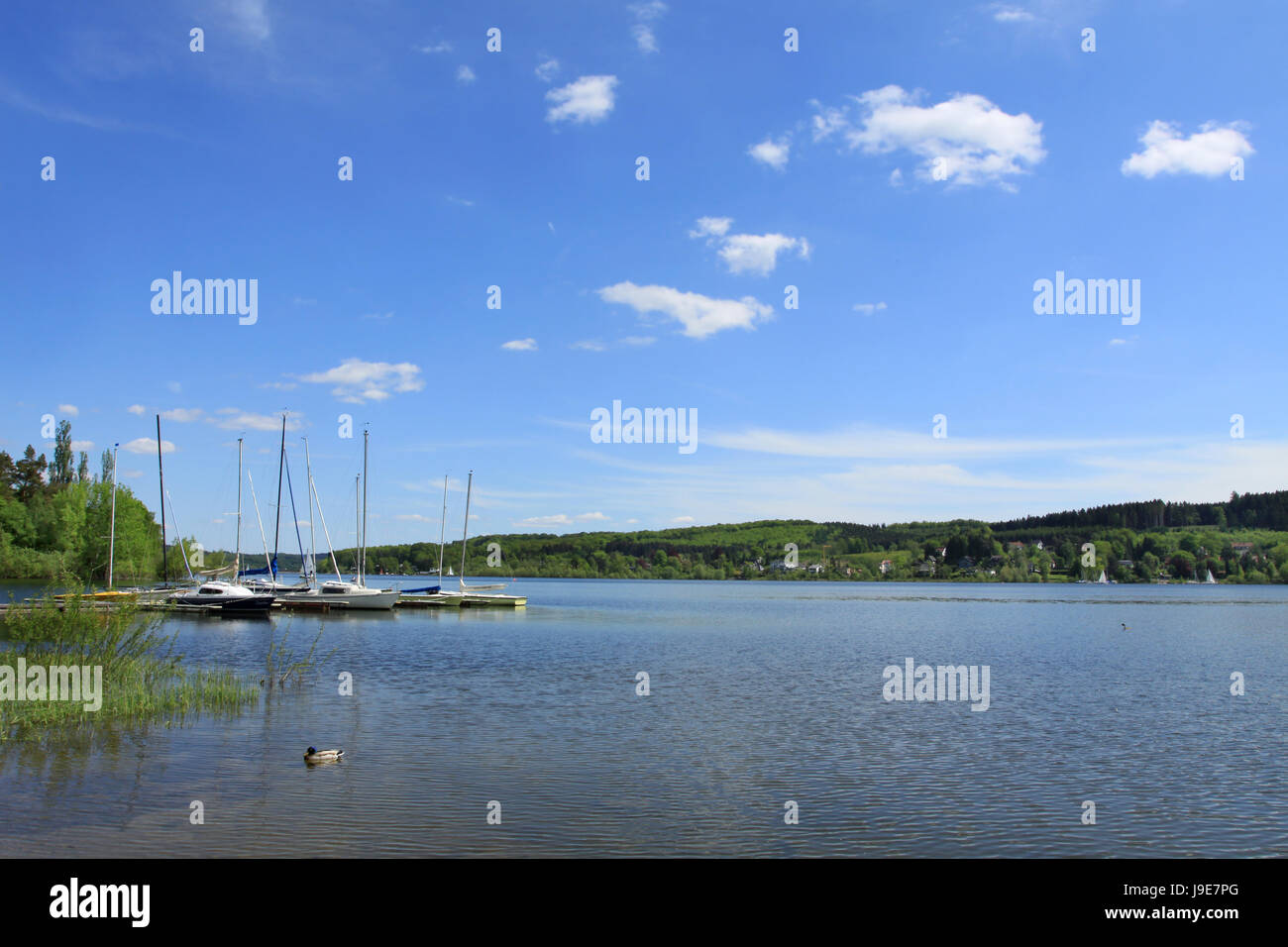 spring, artificial lake, May, sailing boat, sailboat, dam, blue, house ...