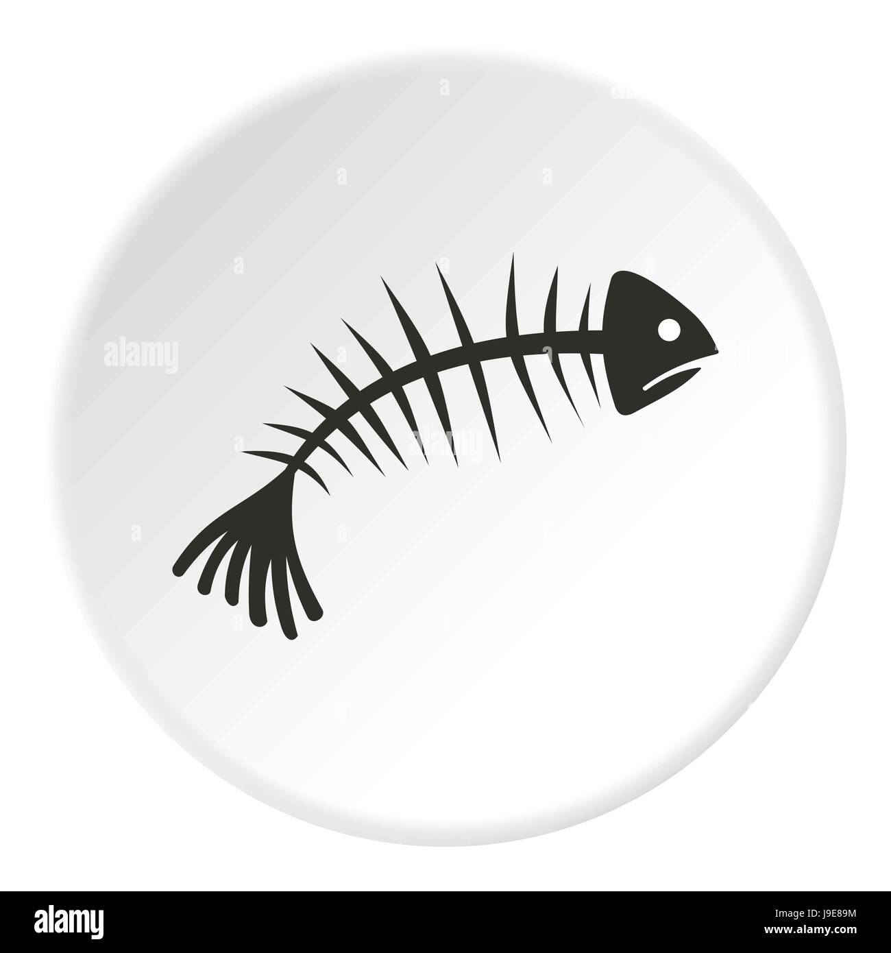 Flat fish fossil hi-res stock photography and images - Alamy