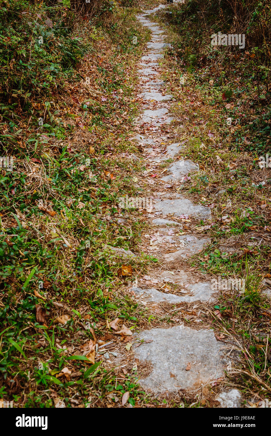 The ancient stone path in the mountain Stock Photo - Alamy