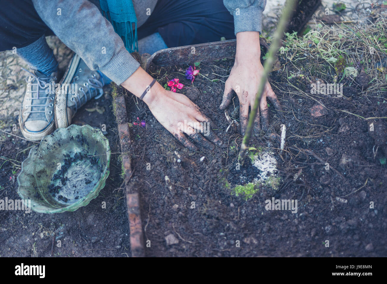 A young woman is planting and doing gardening stuff Stock Photo - Alamy