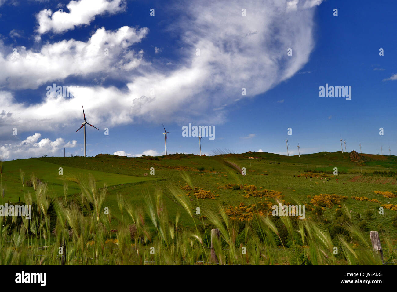 energy, power, electricity, electric power, mast, clean, strength ...