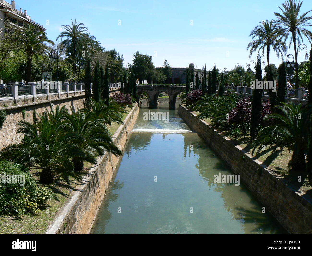 tree, trees, mallorca, bushes, stream, palms, bridges, palmtrees, tree ...