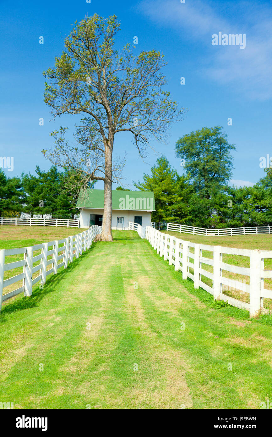 agriculture, farming, farm, fences, country, pasture, landscape ...