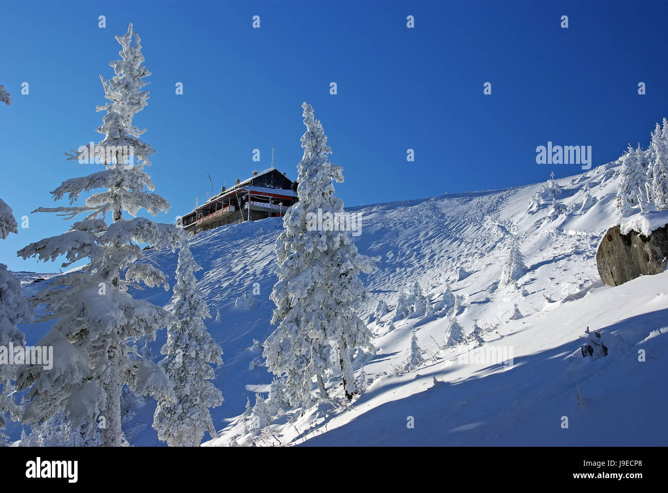 winter, snow, coke, cocaine, material, drug, anaesthetic, addictive ...