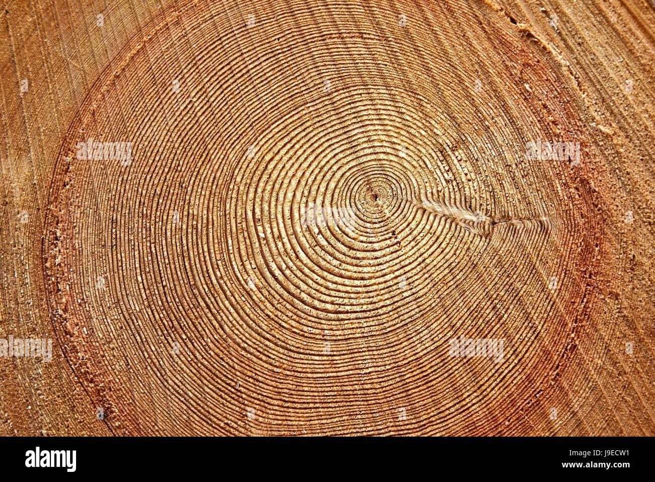 big, large, enormous, extreme, powerful, imposing, immense, relevant ...