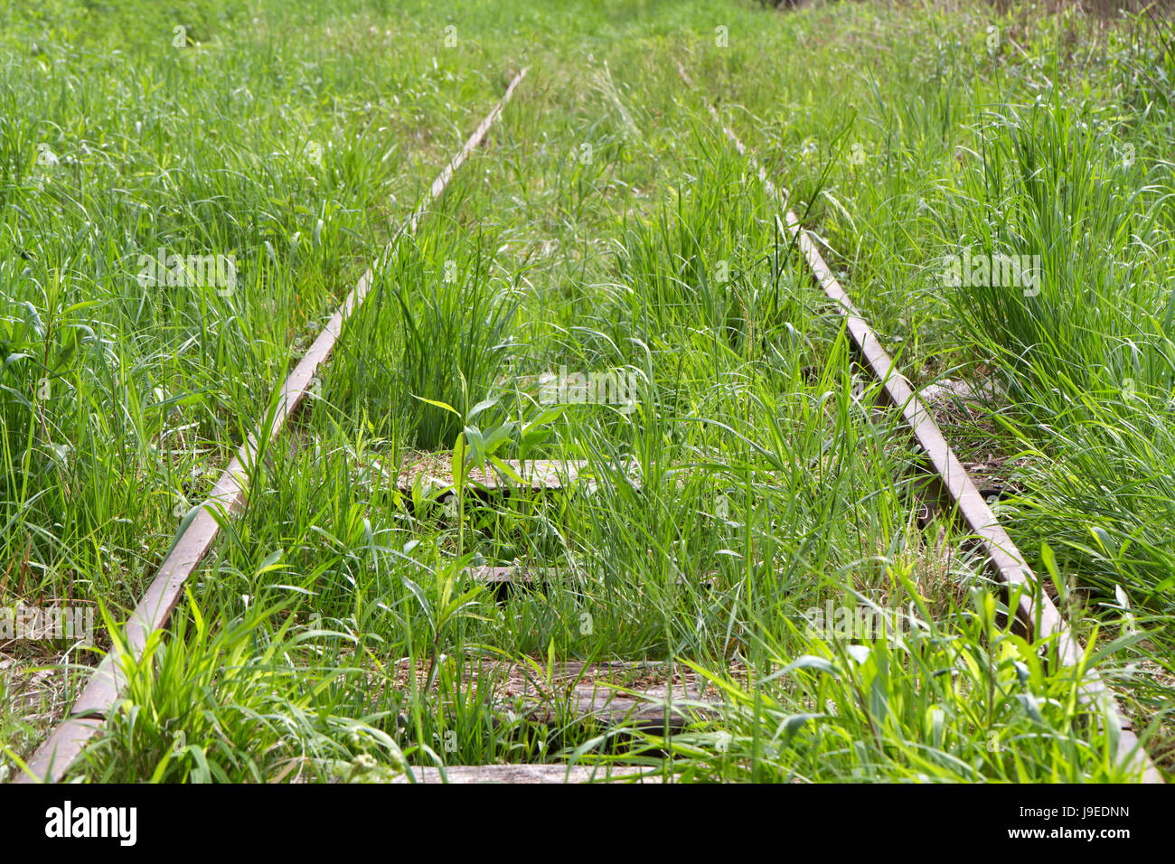 Bog railway hi-res stock photography and images - Alamy