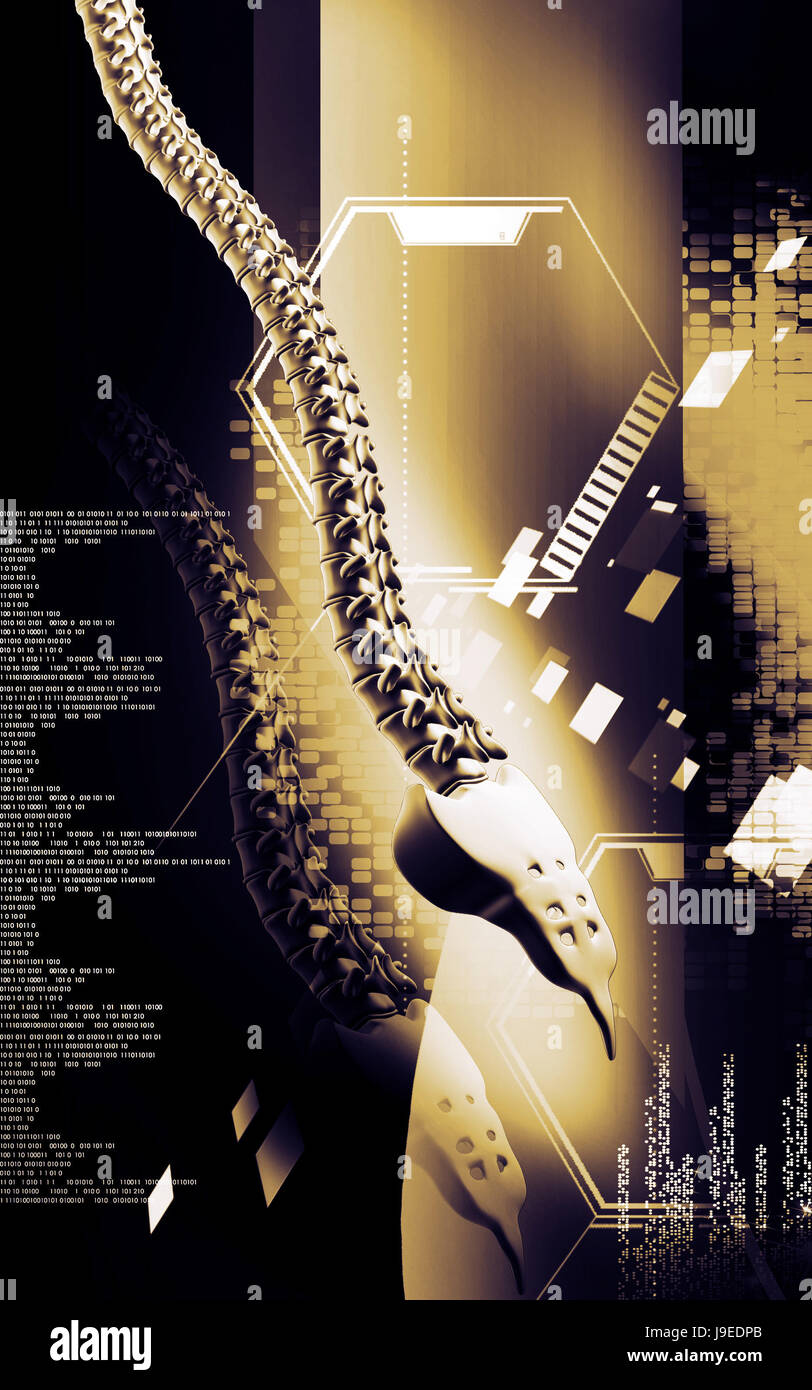 health, medicinally, medical, graphics, colour, illustration, stretch ...