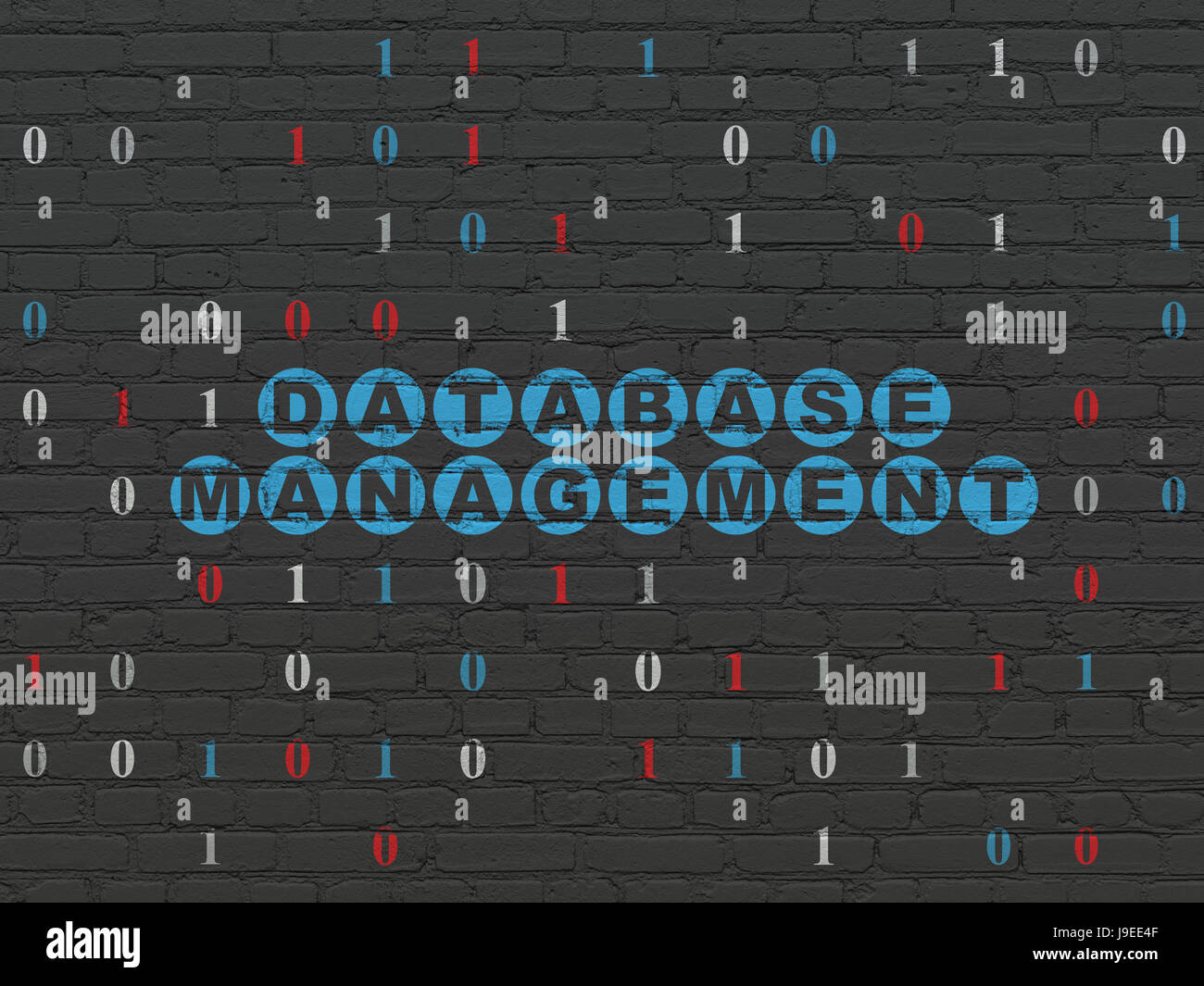 Programming concept: Database Management on wall background Stock Photo ...