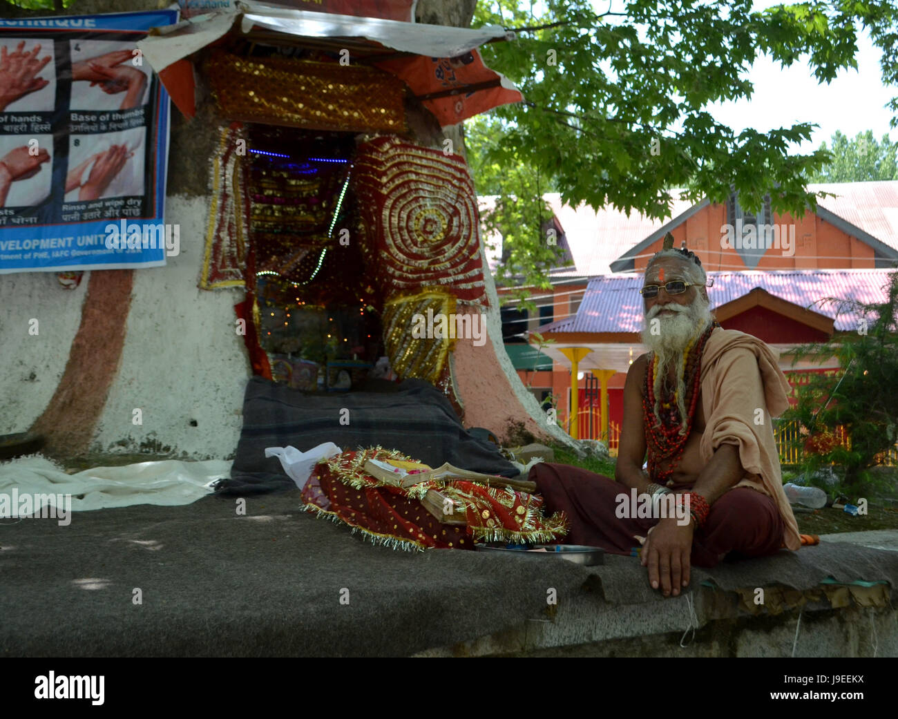 Mulla Tree High Resolution Stock Photography and Images - Alamy