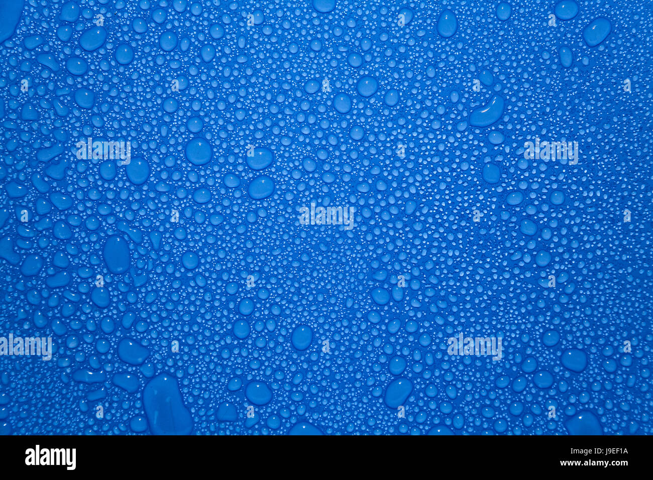 blue, wet, backdrop, background, water, blue, glass, chalice, tumbler ...