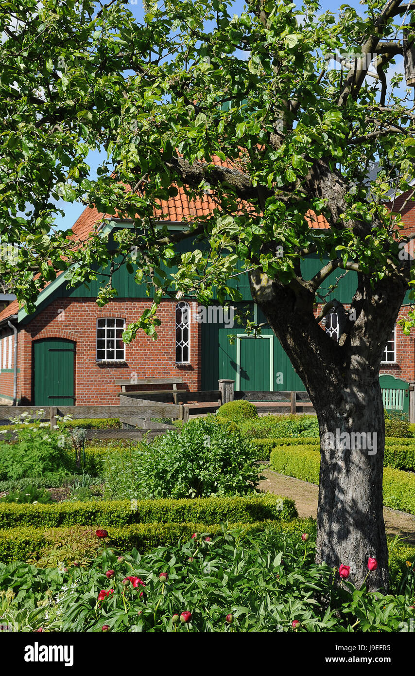 tree, garden, apple tree, hedge, gardens, tree, garden, beds, box-tree ...