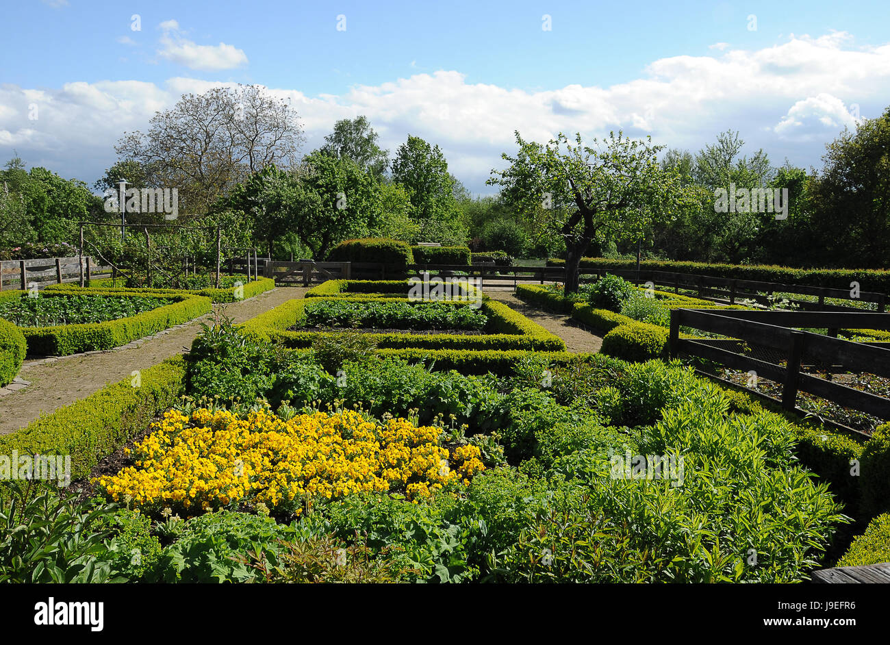 garden, box-tree, hedge, bed, gardens, border, garden, beds, box-tree ...