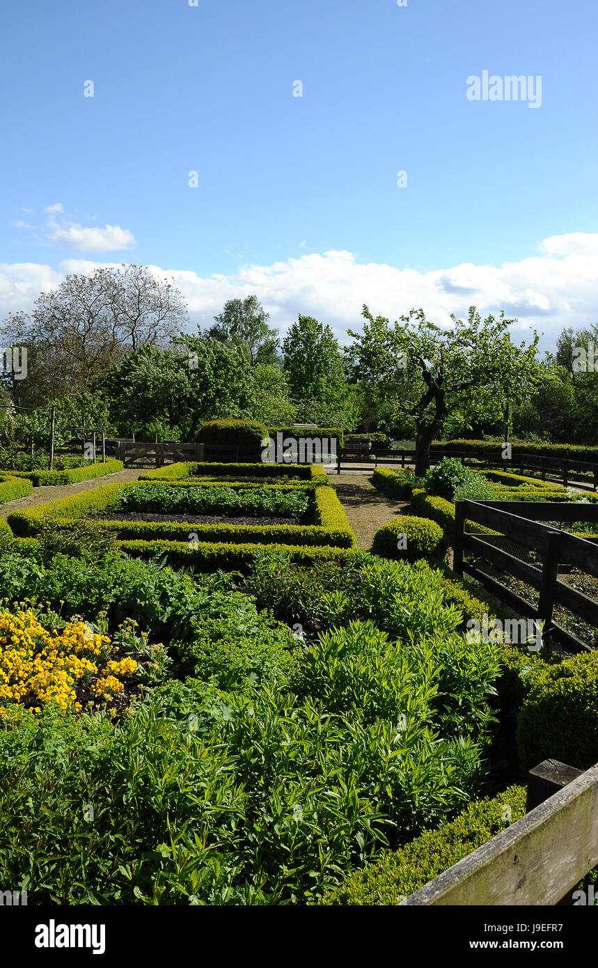 garden, box-tree, hedge, bed, gardens, border, garden, beds, box-tree ...