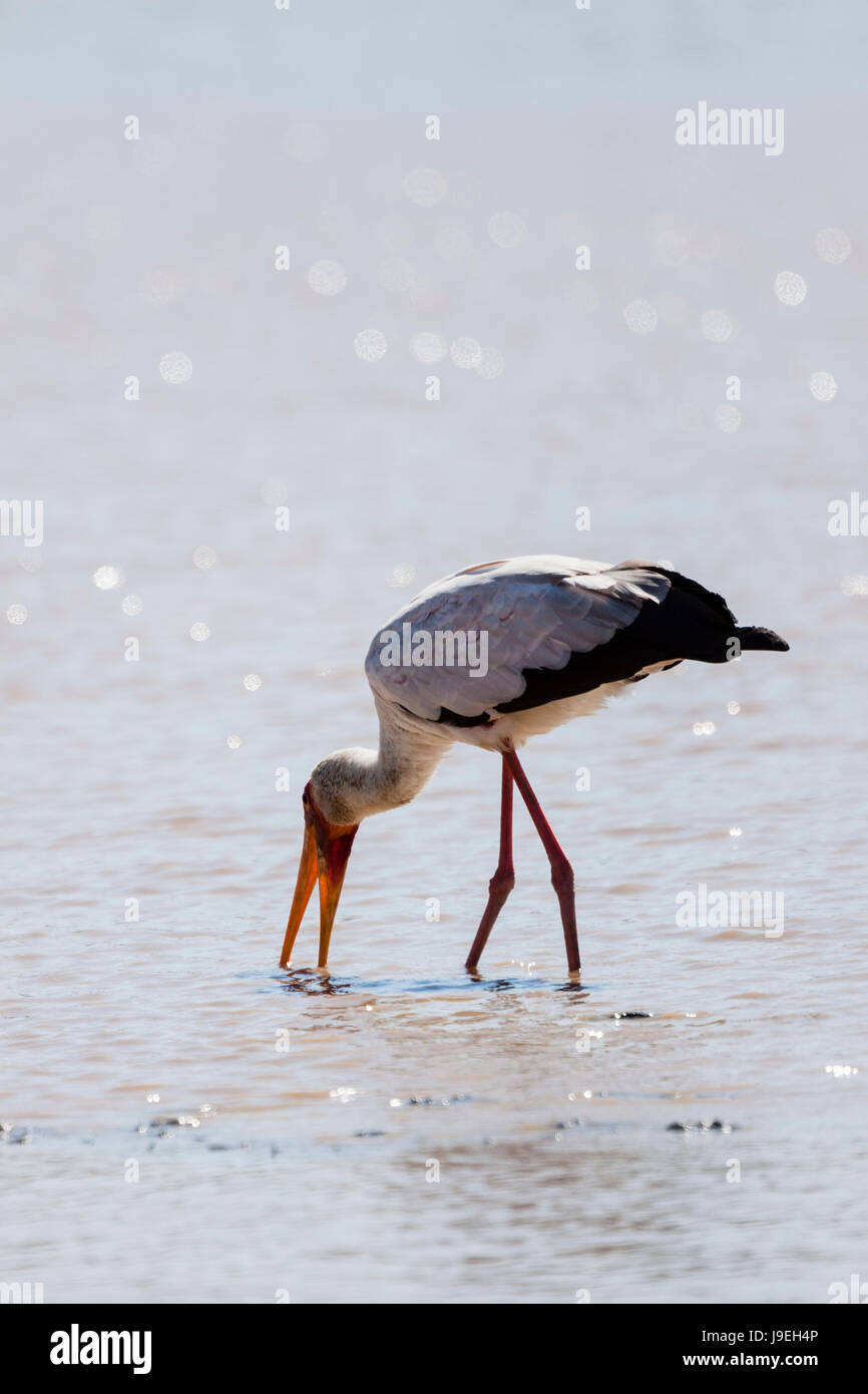 Hochfoto hi-res stock photography and images - Alamy