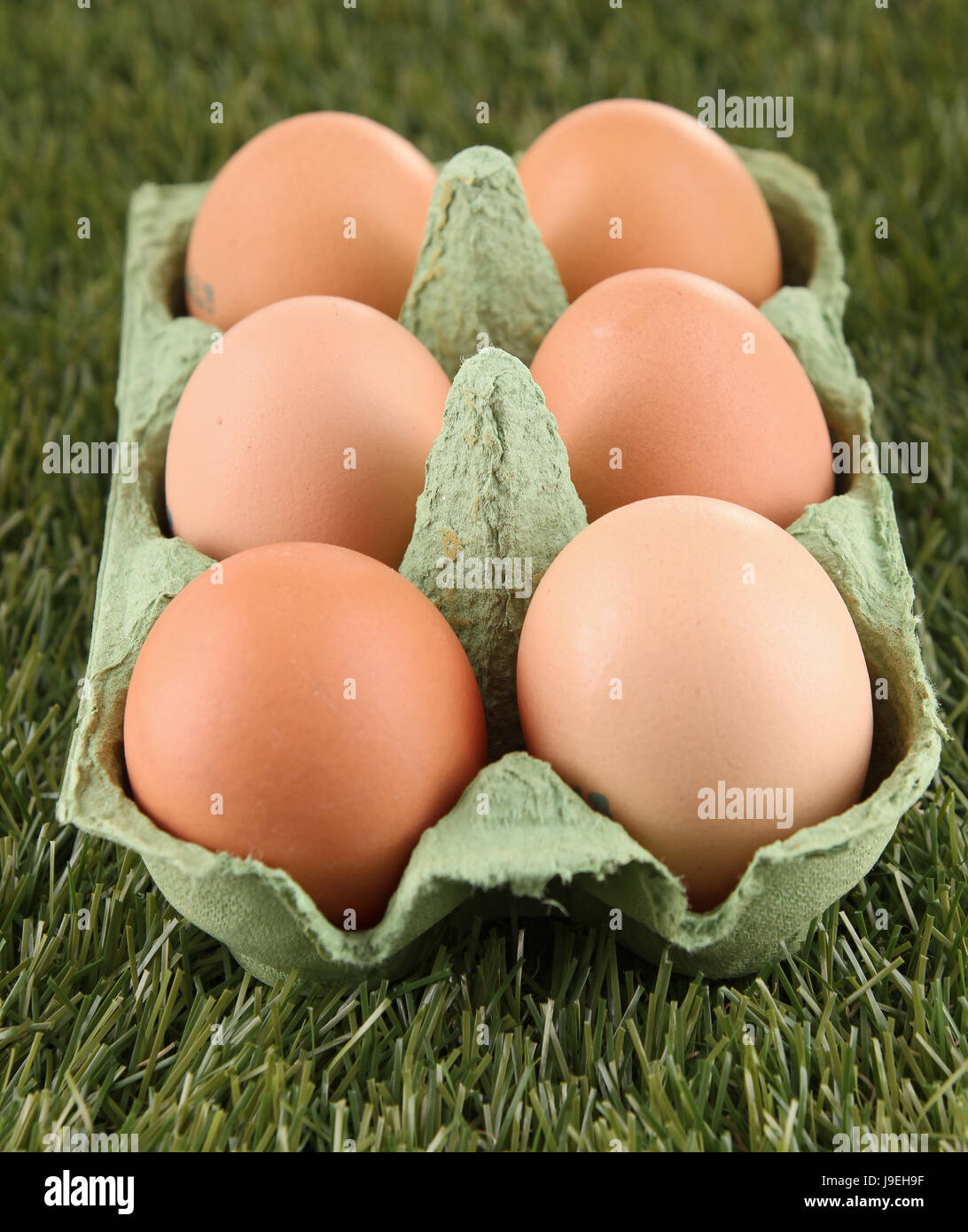 food, aliment, garden, kitchen, cuisine, egg, yolk, eggs, edible, herb ...