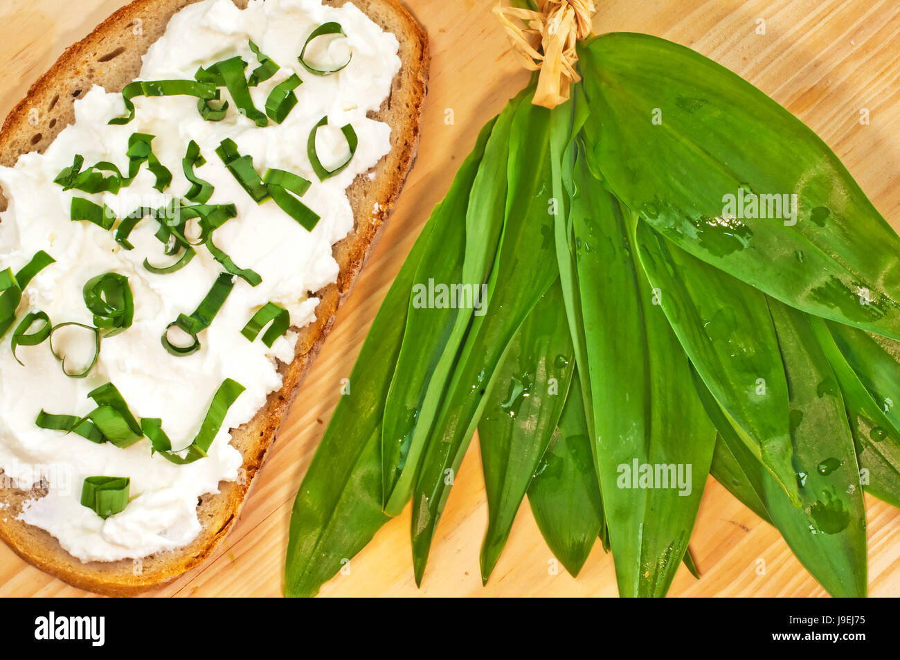 vegetable, medicinal plant, medicine, medicin, salad, healthy, food ...