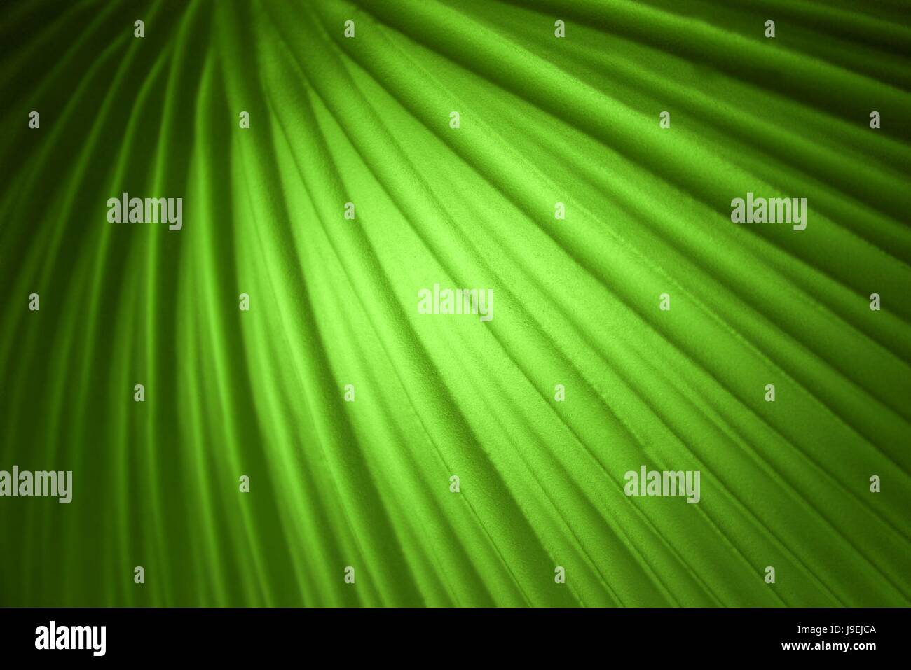 illustration, decor, decoration, abstract, decorate, backdrop ...