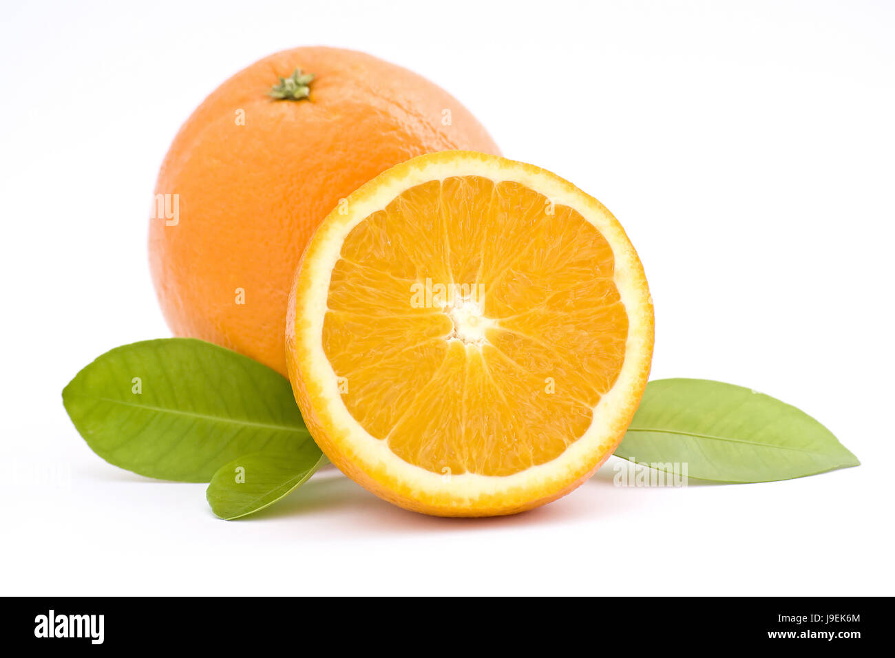 Orange half garden Cut Out Stock Images & Pictures - Alamy